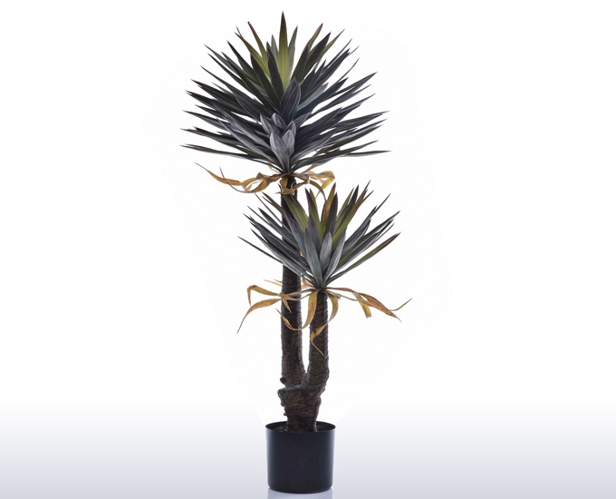 Juka 150 cm – Ogrodowy Salon